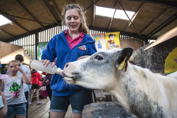 Bottle Feeding – Tweddle Farm