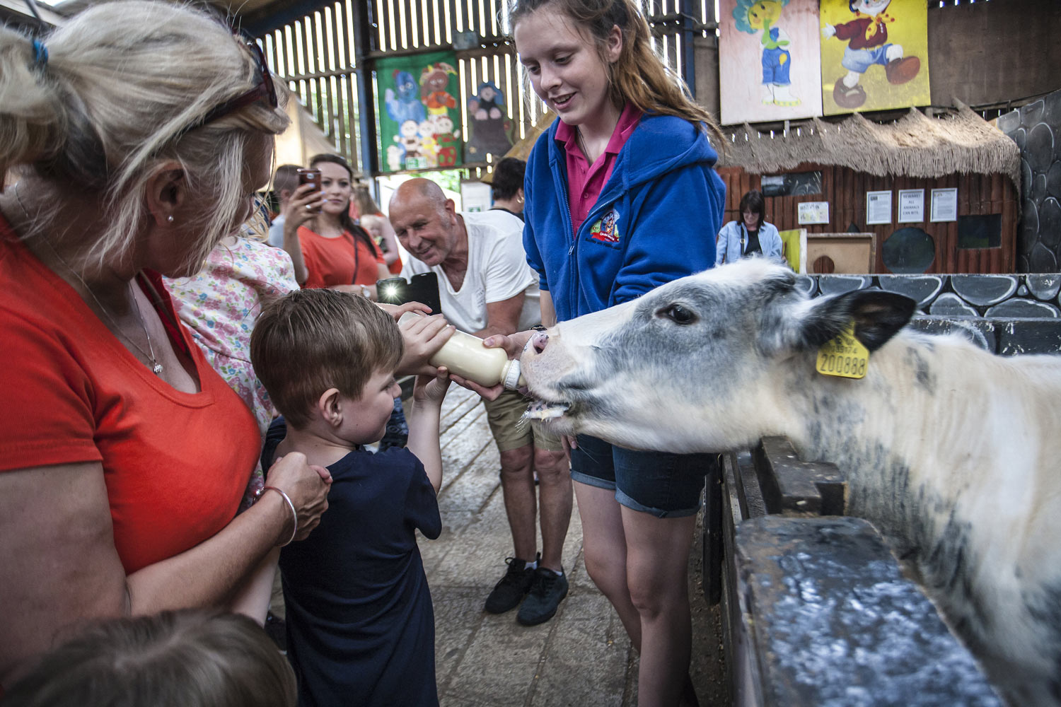Bottle Feeding – Tweddle Farm