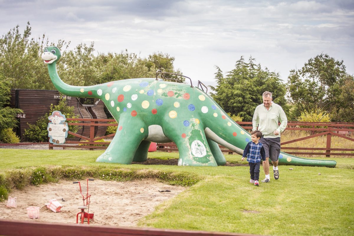 Fun & Activities – Tweddle Farm