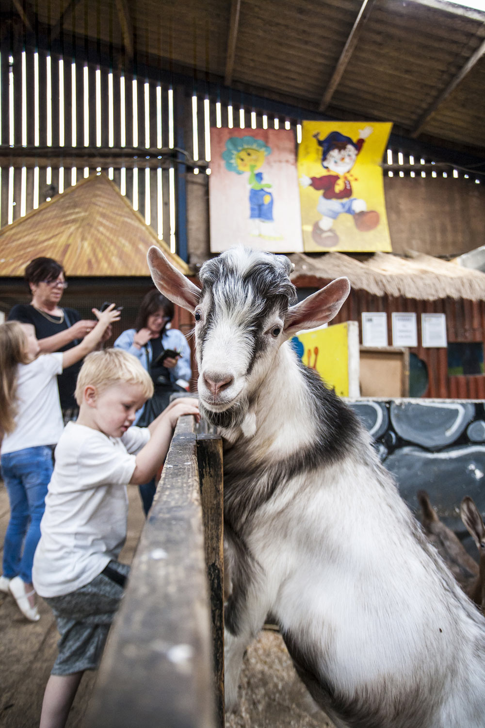 petting-area – Tweddle Farm