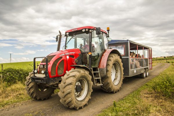 Tweddle Farm – Bursting with animal farm fantasticness